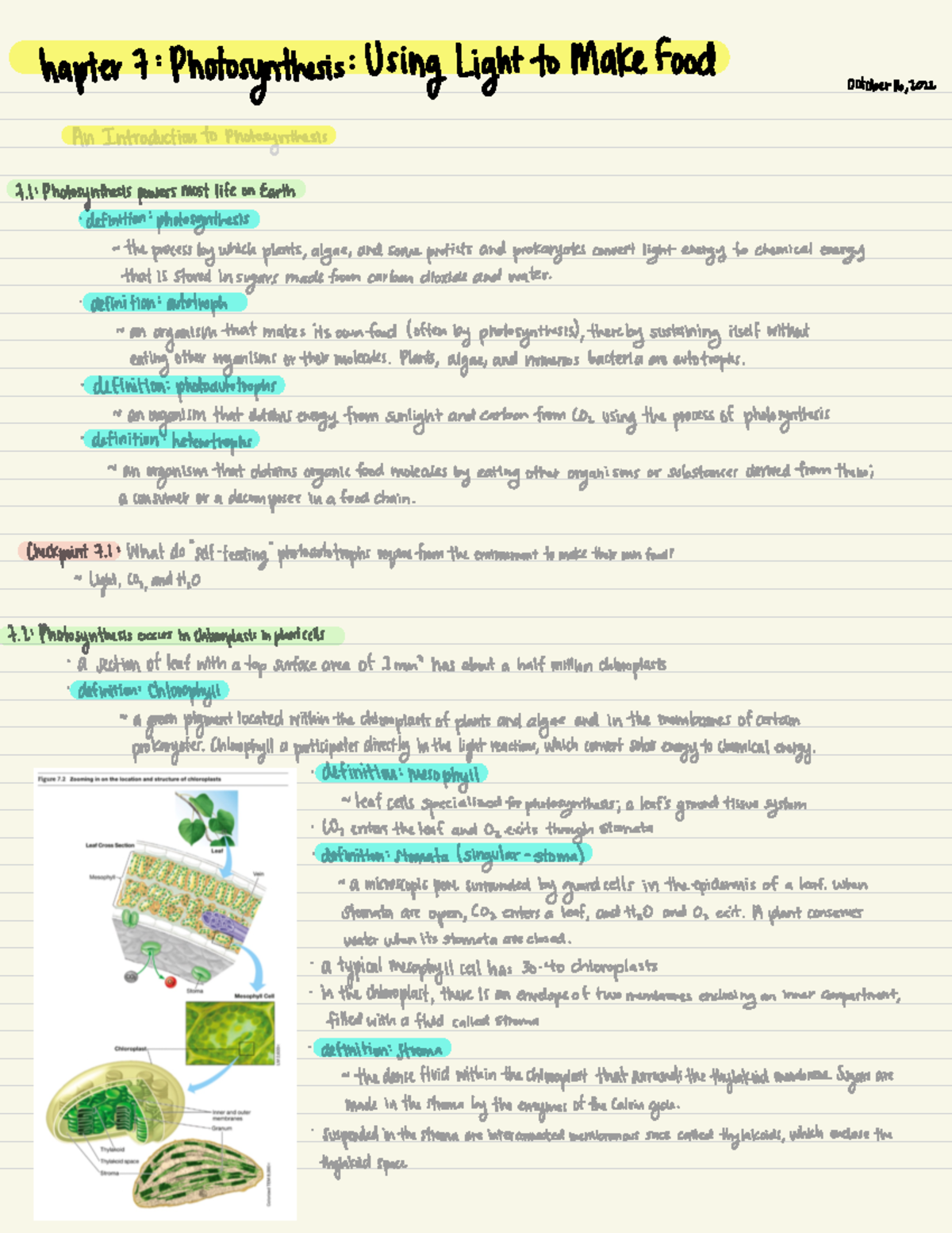 Chapter 7 - Notes from textbook - Chapter 7 : Photosynthesis : Using ...