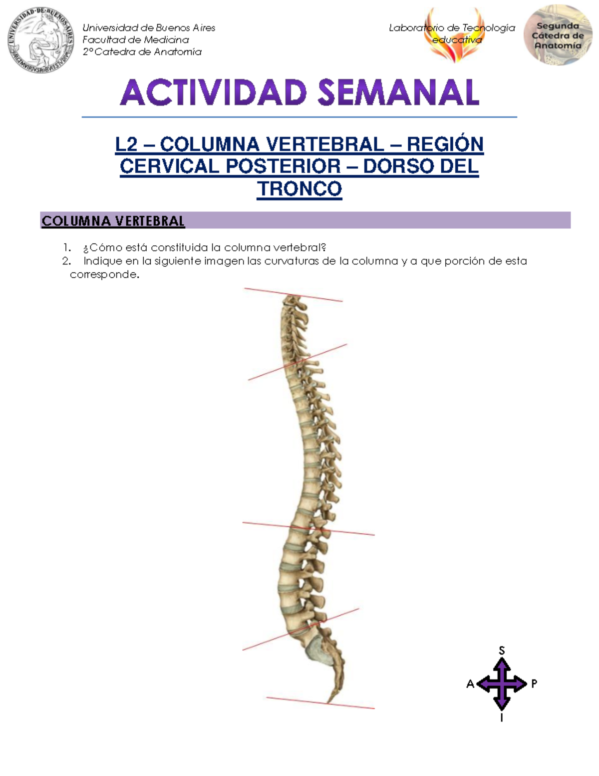Actividad Semanal L2- 2021 - Facultad de Medicina educativa 2° Catedra ...