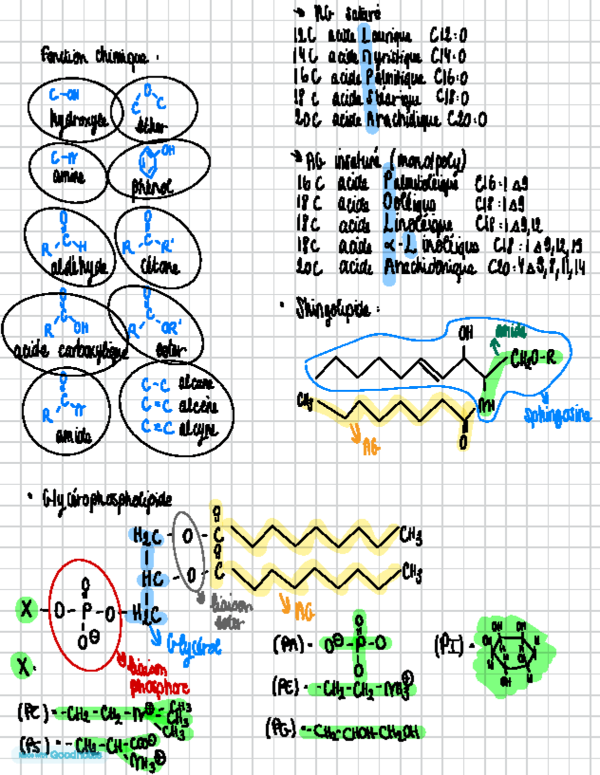 Biochimie Chimie fiche 2 - > Au saturé 12( acide aurique C12 : 8 ...