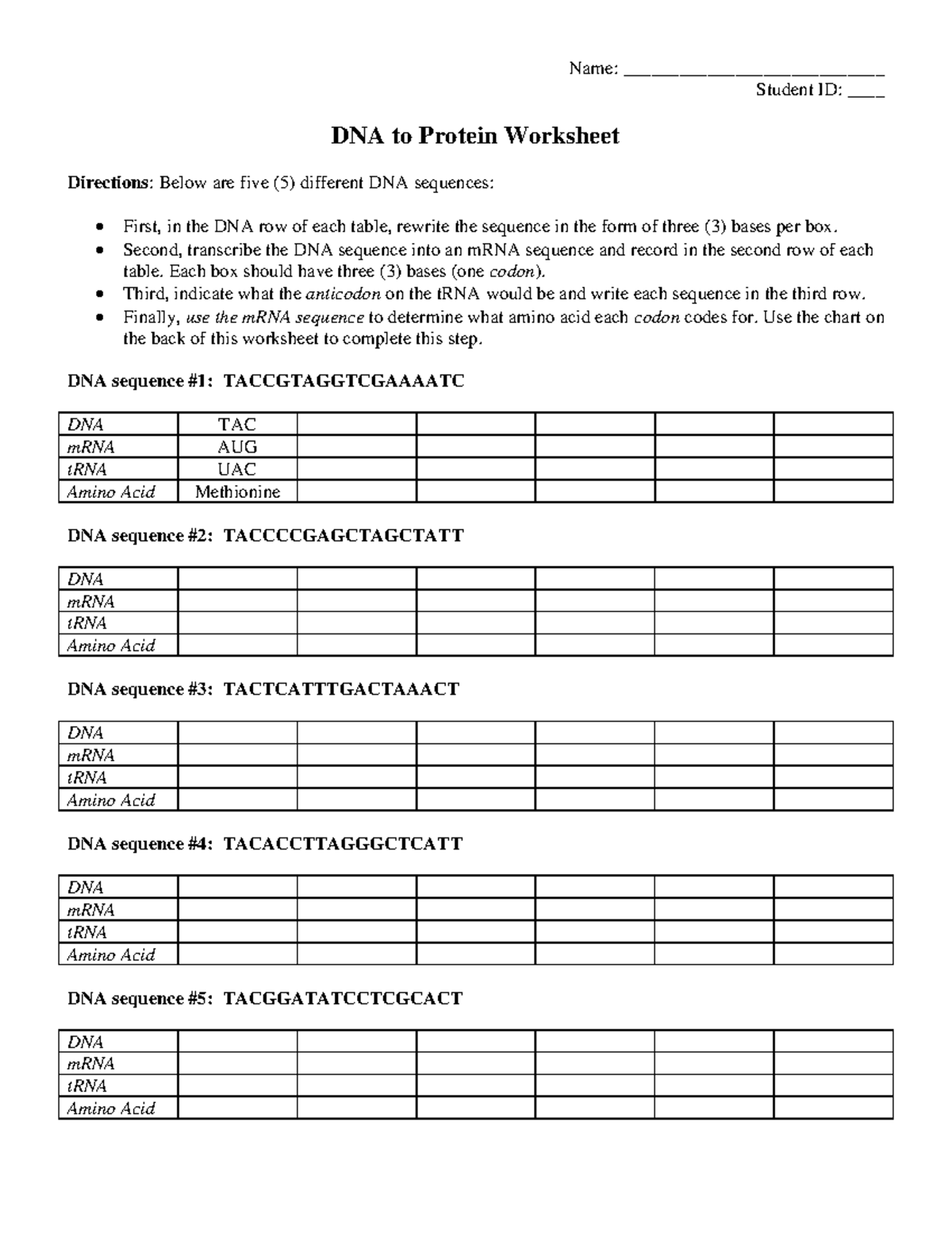 DNAto Protein Worksheetw Answer Key-1 - Name ...
