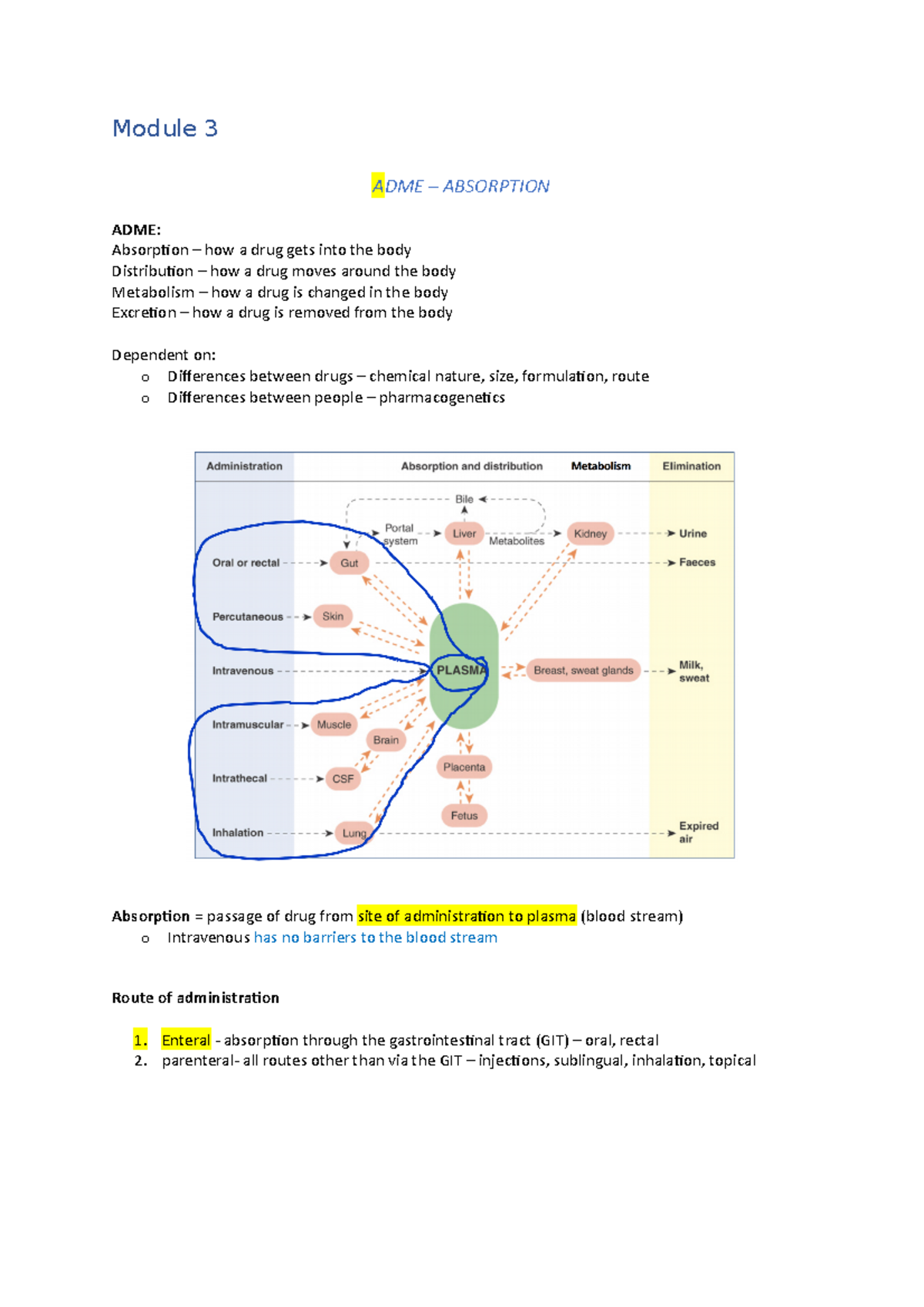 Module 3 - lectures notes - Module 3 ADME – ABSORPTION ADME: Absorption ...
