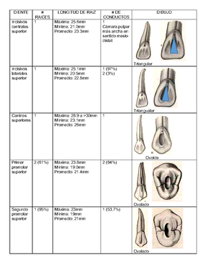 2. Diagnostico Pulpar Y Periapical-1 - GUÍA DE DIAGNÓSTICO CLÍNICO PARA ...