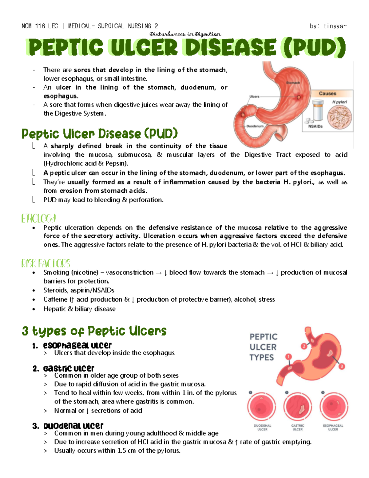 Peptic Ulcer Disease - Disturbances in Digestion There are sores that ...