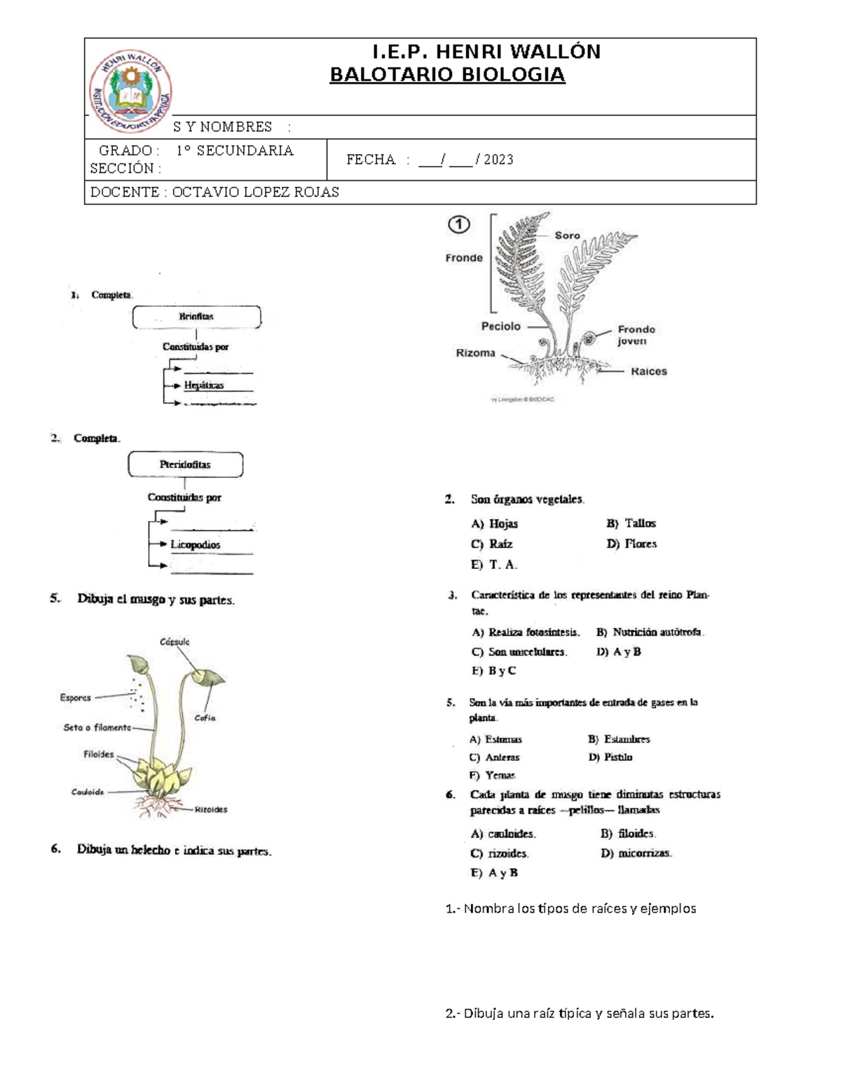 Biologia 1RO Secundaria A - 1.- Nombra los tipos de raíces y ejemplos 2 ...
