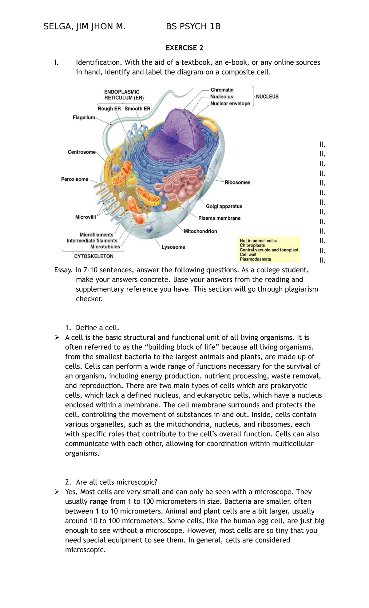 Cell assign - Cells parts - SELGA, JIM JHON M. BS PSYCH 1B EXERCISE 2 I ...