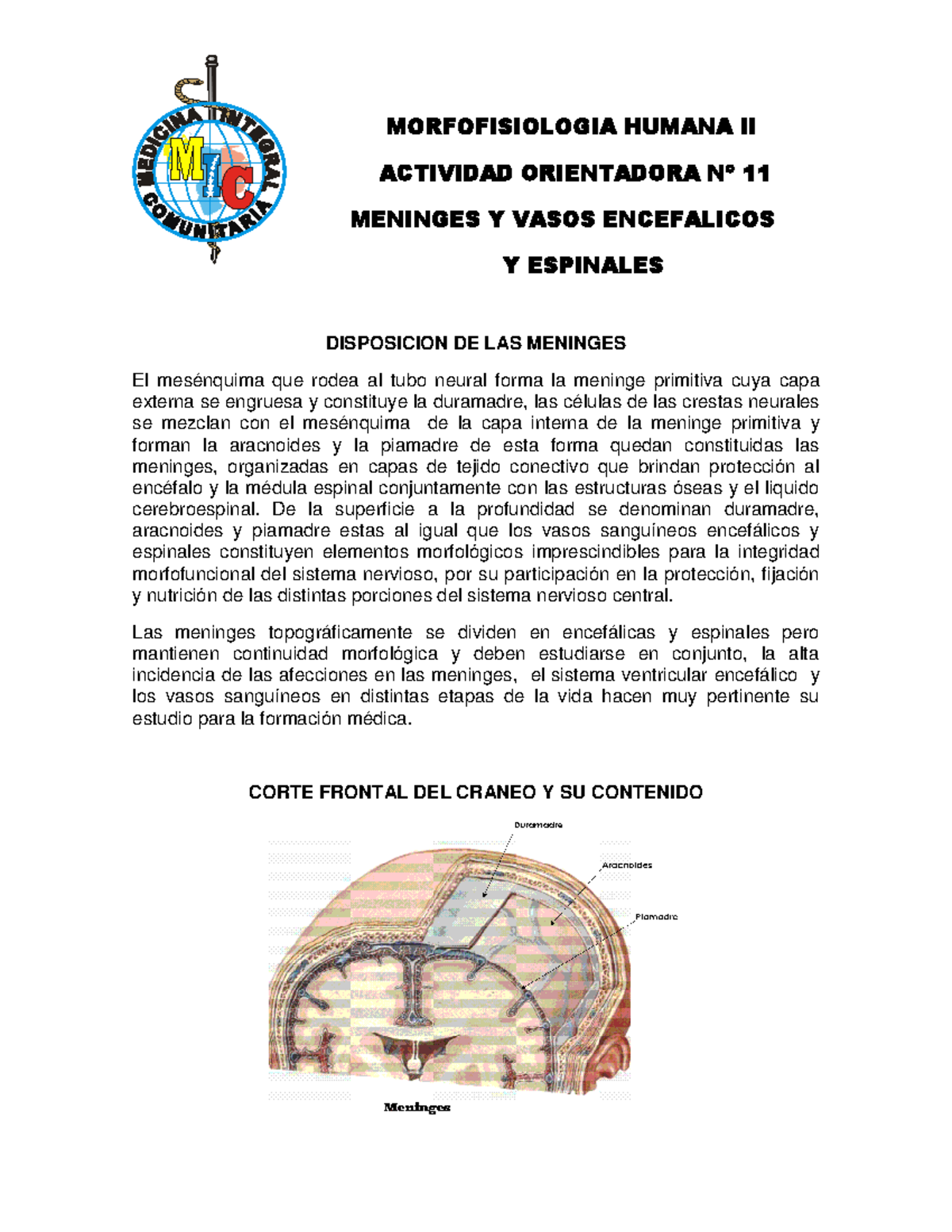 MFH+II+-+AO+11 - GLU GLU GLU GLU GLU GLU GLU - MORFOFISIOLOGIA HUMANA ...