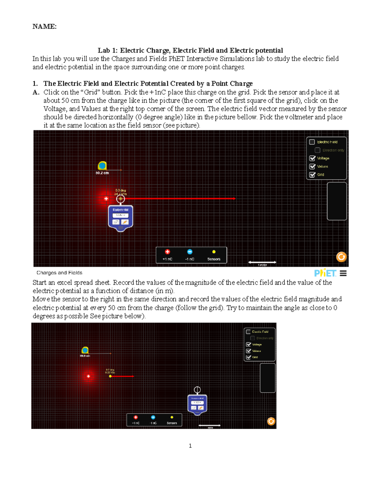 Lab 1 Worksheet-1 - n/a - NAME: Lab 1: Electric Charge, Electric Field ...