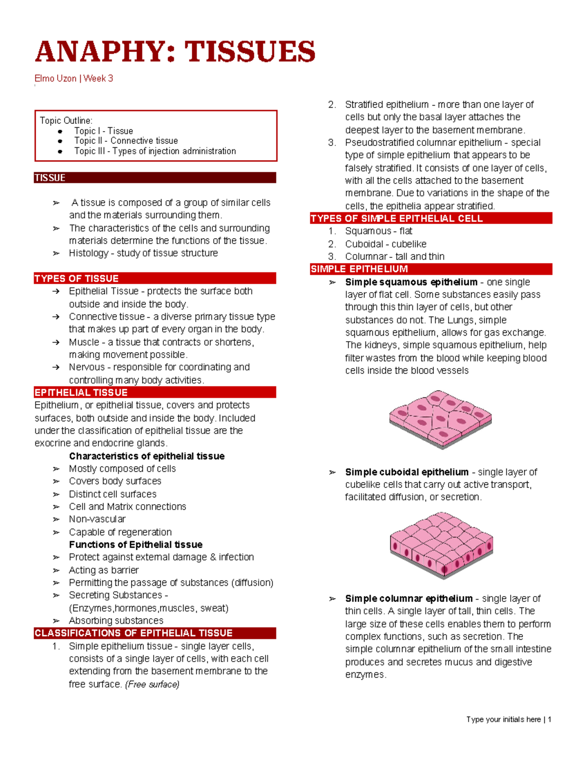 Integumentary- System - ANAPHY: TISSUES Elmo Uzon | Week 3 Topic ...