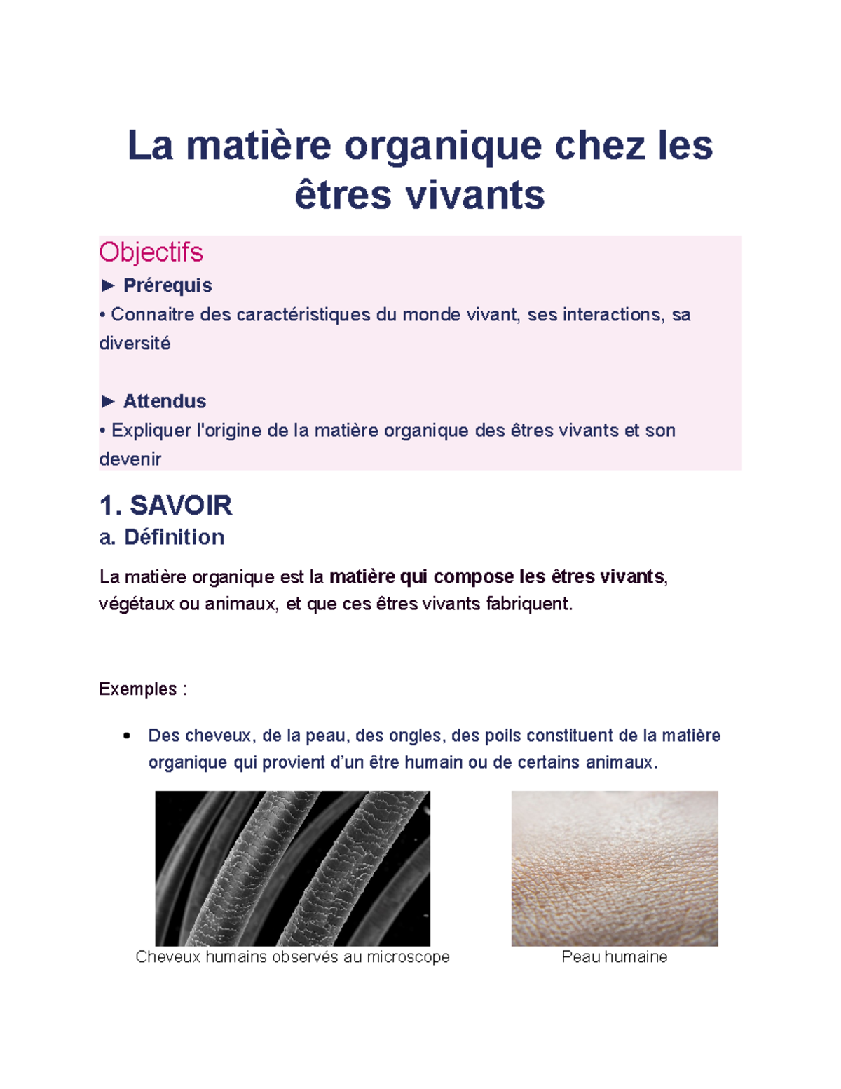 La matière organique chez les êtres vivants - La matière organique chez ...