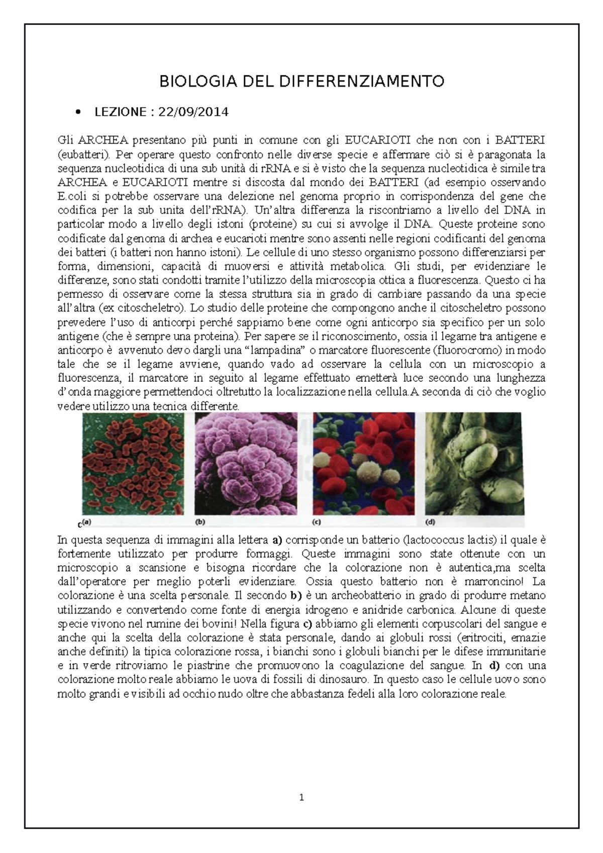 Appunti - Biologia del differenziamento cellulare prof. Avallone - a.a. 2015/2016 - BIOLOGIA DEL ...
