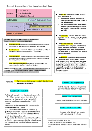 GI PHYS- physiology of the liver - Warning: TT: undefined function: 32 ...