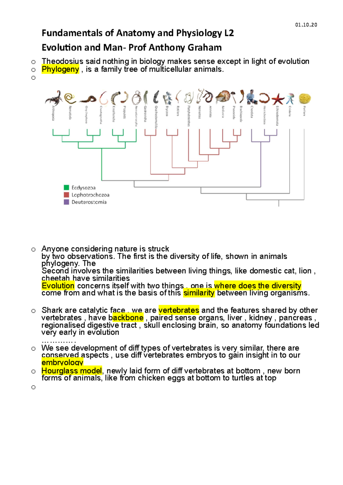 L2 Evolution and Man - Fundamentals of Anatomy and Physiology L ...