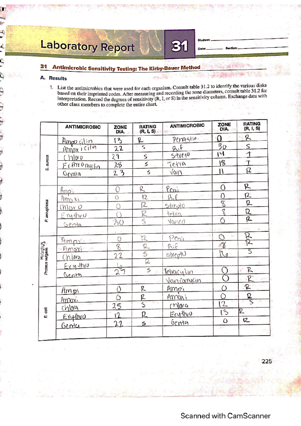 Experiment 31 - CHEM 241 - Studocu