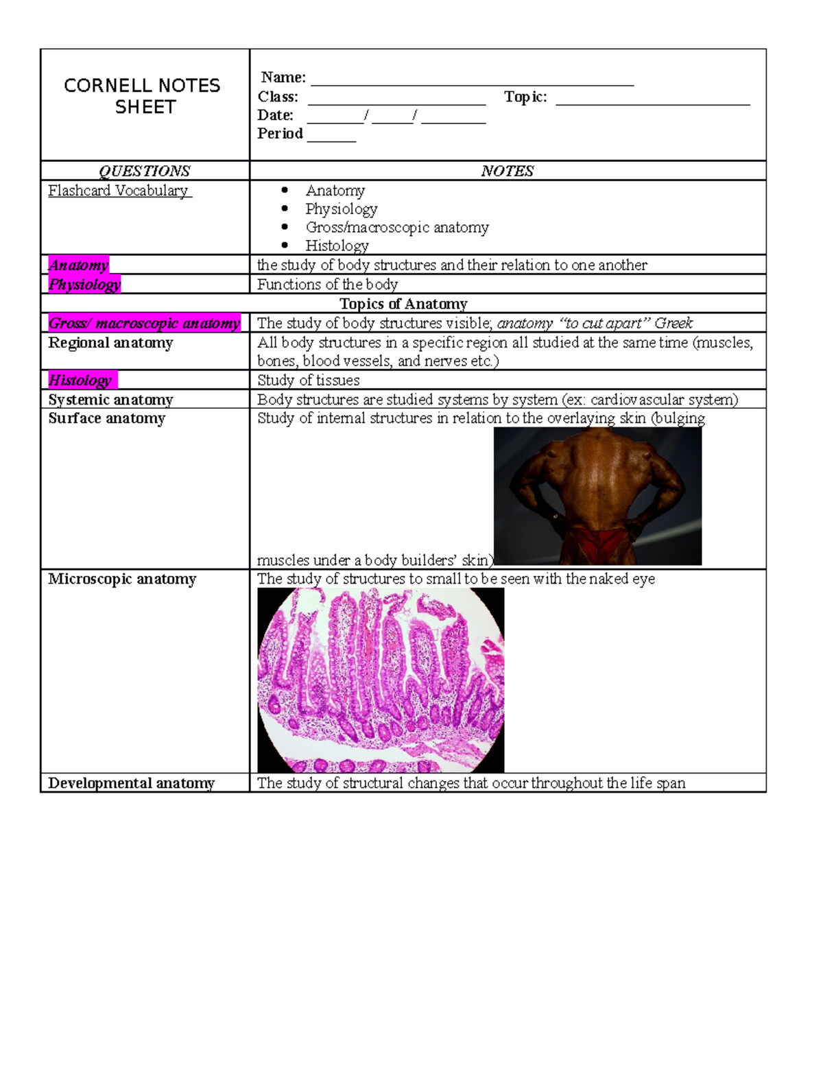 Chapter 1 The Human Body An Orientation 1.1 - CORNELL NOTES SHEET Name ...