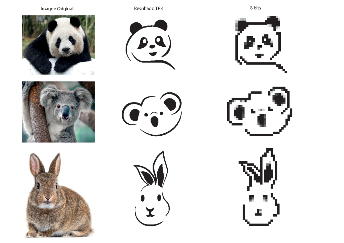 TP3 Recursos Digitales - Imagen Original Resultado TP3 8 bits Imagen ...