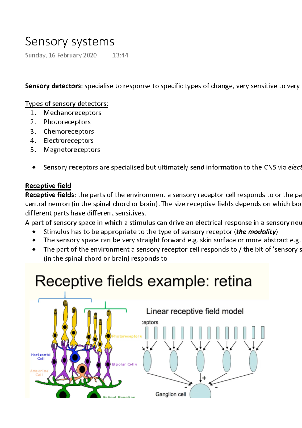 Sensory systems - Sensory detectors: specialise to response to specific ...