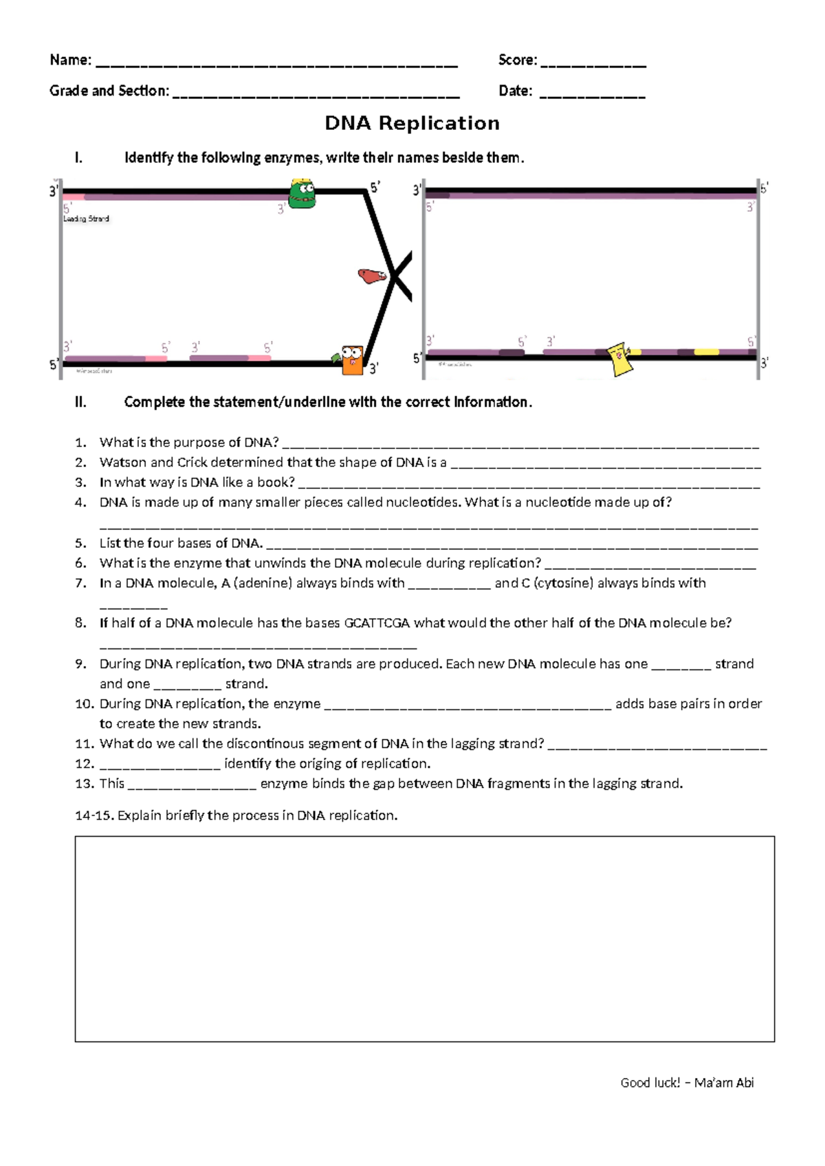 DNA Replication Quiz Activity - Name ...