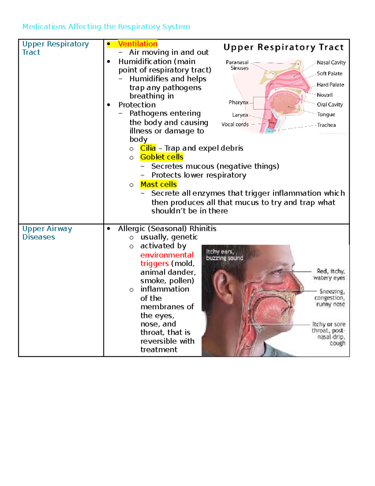Respiratory Drugs - Medications Affecting the Respiratory System Upper ...