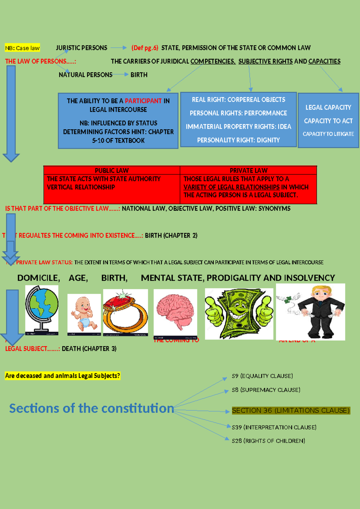 MIND MAP Chapter 1 - Copy - NB: Case law JURISTIC PERSONS (Def pg ...