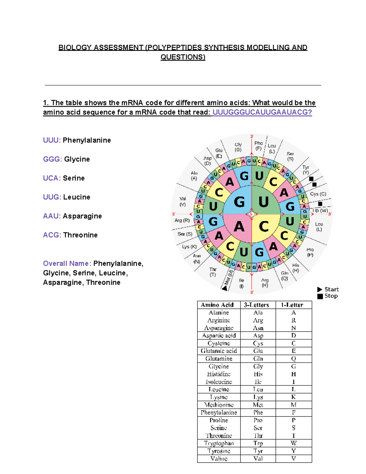 Biology Assessment 2021 - BIOLOGY ASSESSMENT (POLYPEPTIDES SYNTHESIS ...