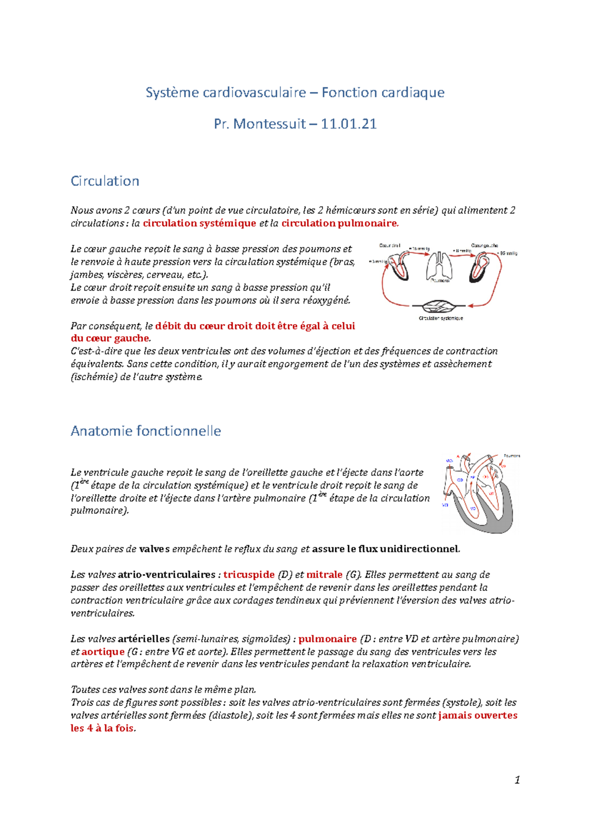 3. Fonction Cardiaque - Système cardiovasculaire – Fonction cardiaque ...