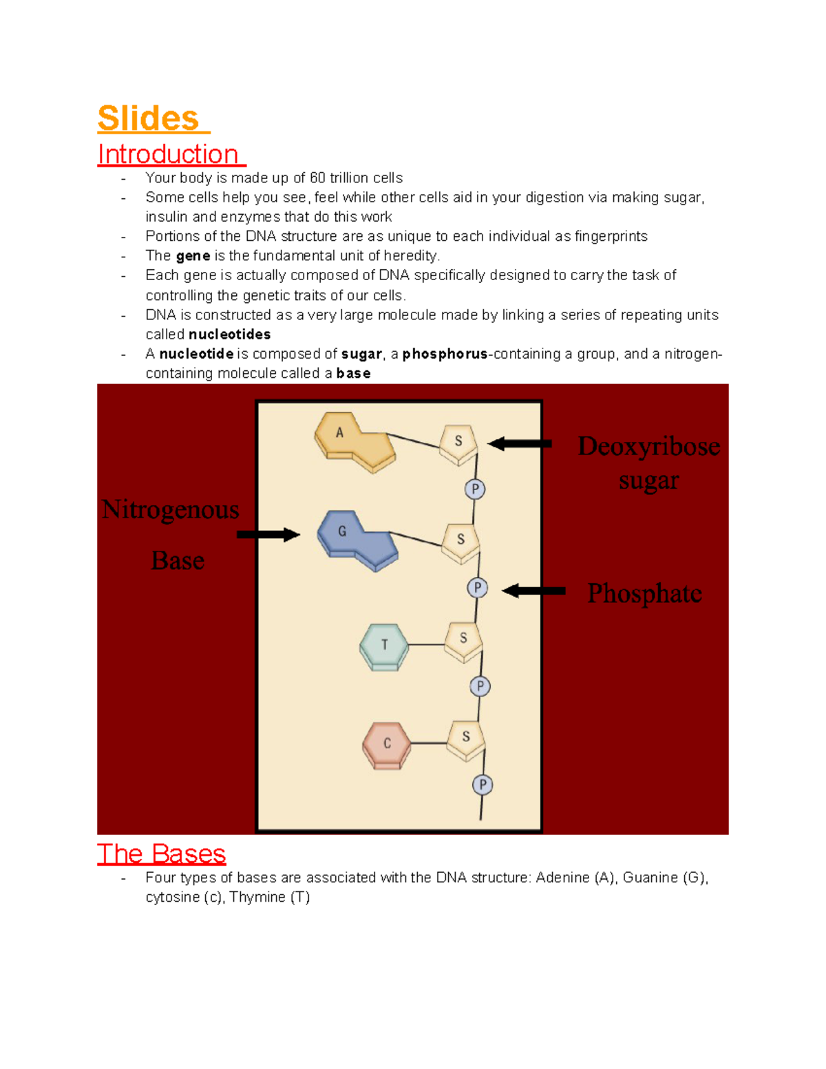 Chapter 16 - DNA - Slides Introduction Your body is made up of 60 ...