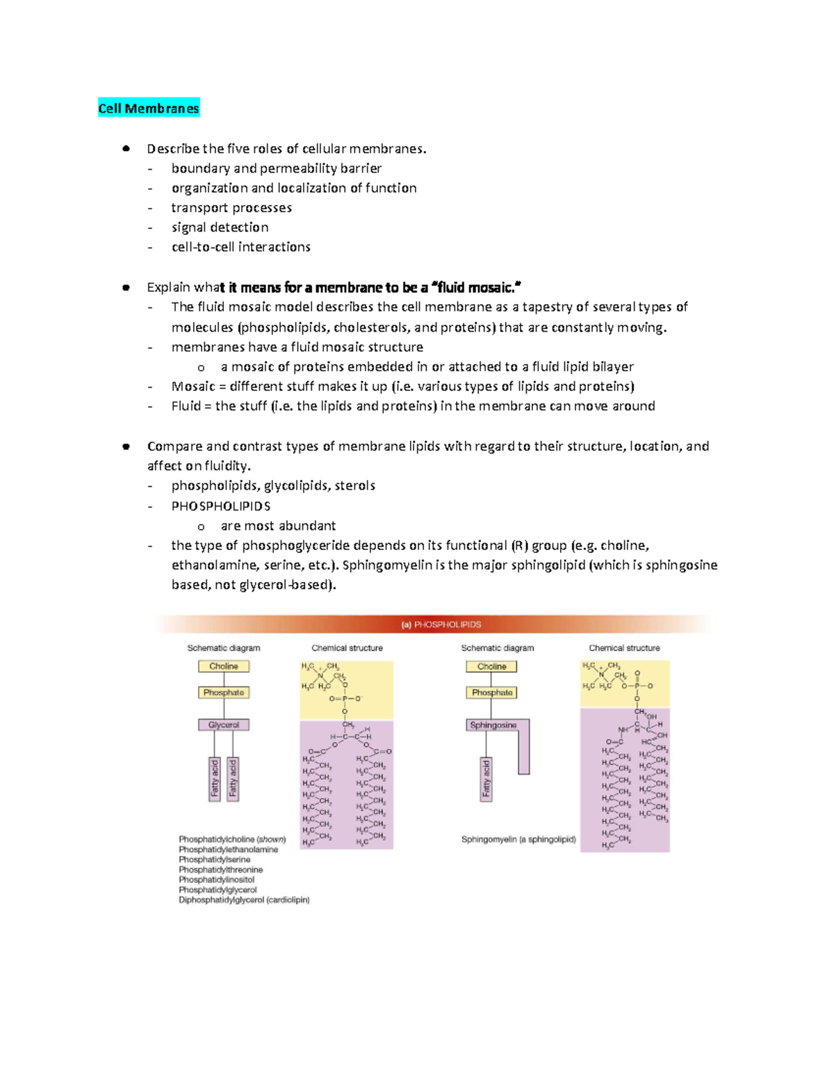 Cell bio exam 1 review sheet-10-21 - Cell Membranes Describe the five ...