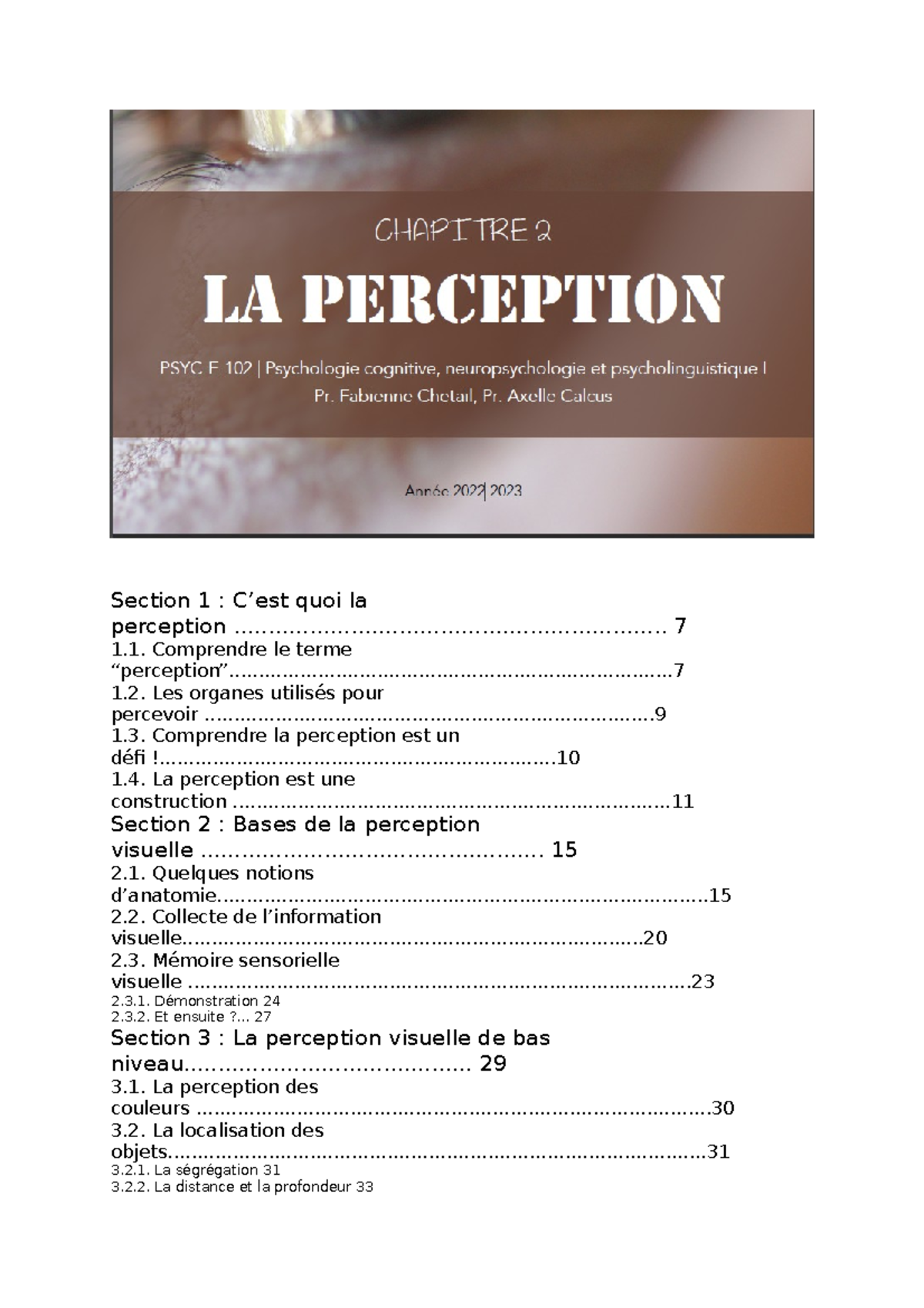Perception - Section 1 : C’est quoi la perception - Studocu