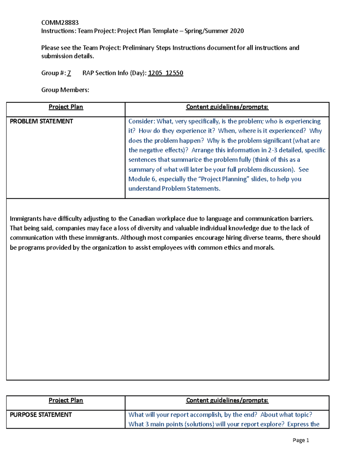 RAP Team Project - Instructions and Template - Project Plan - COMM ...