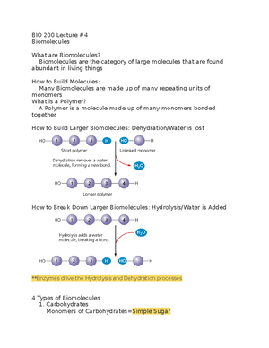 Unit 1. Microbiology and Microorganisms - Unit 1. Microbiology and ...