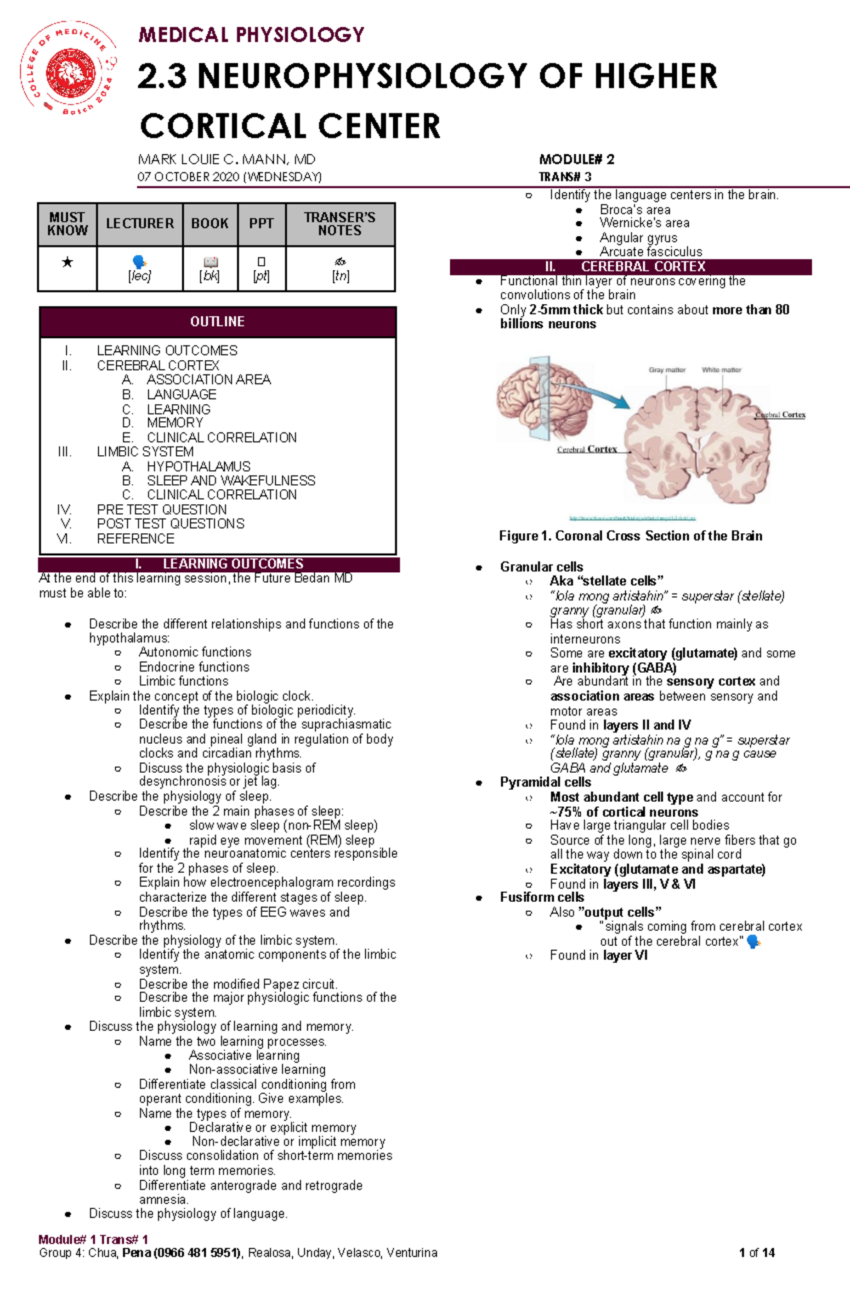 Physio 2.3 Neurophysiology OF Higher Cortical Center - MEDICAL ...