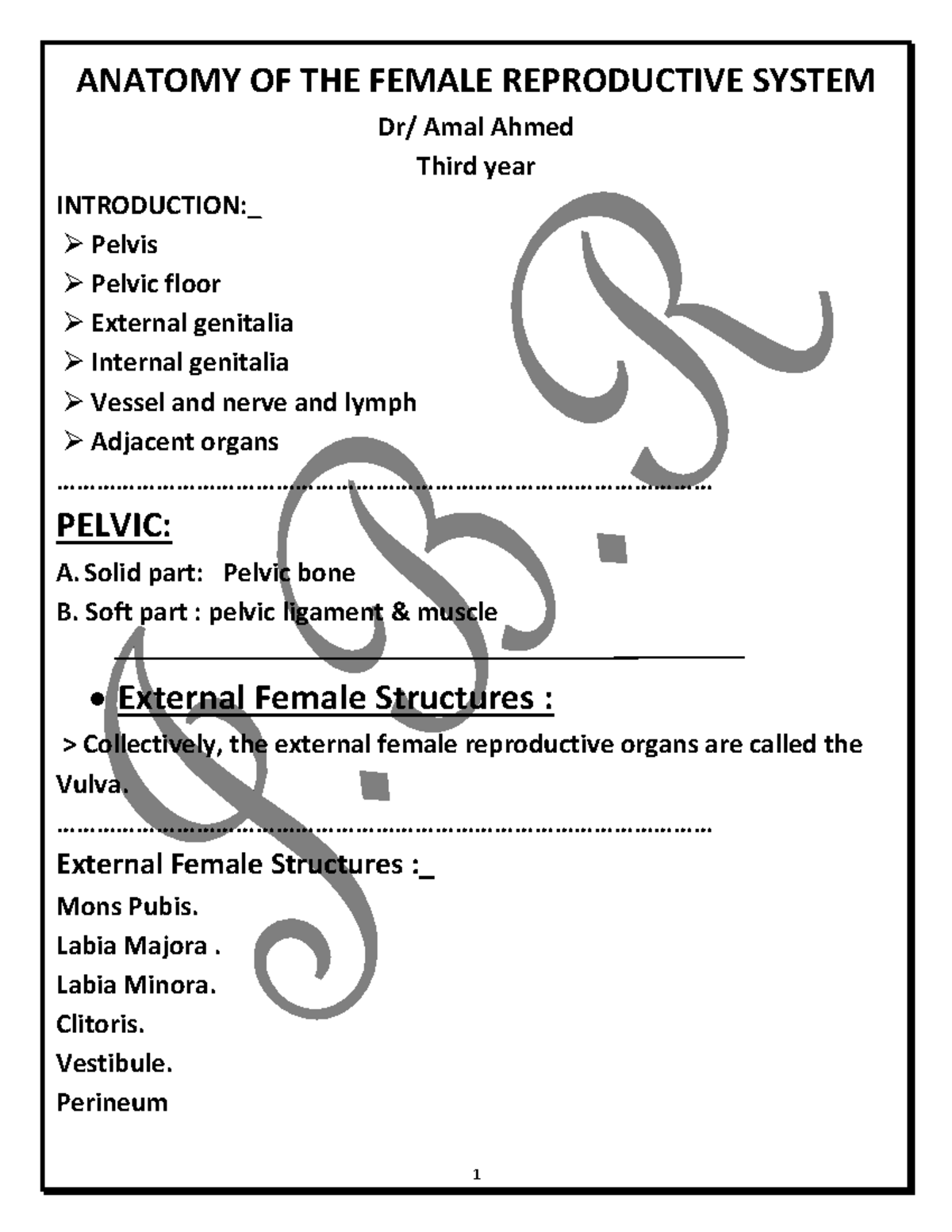 Anatomy OF THE Female Reproductive System - ANATOMY OF THE FEMALE ...