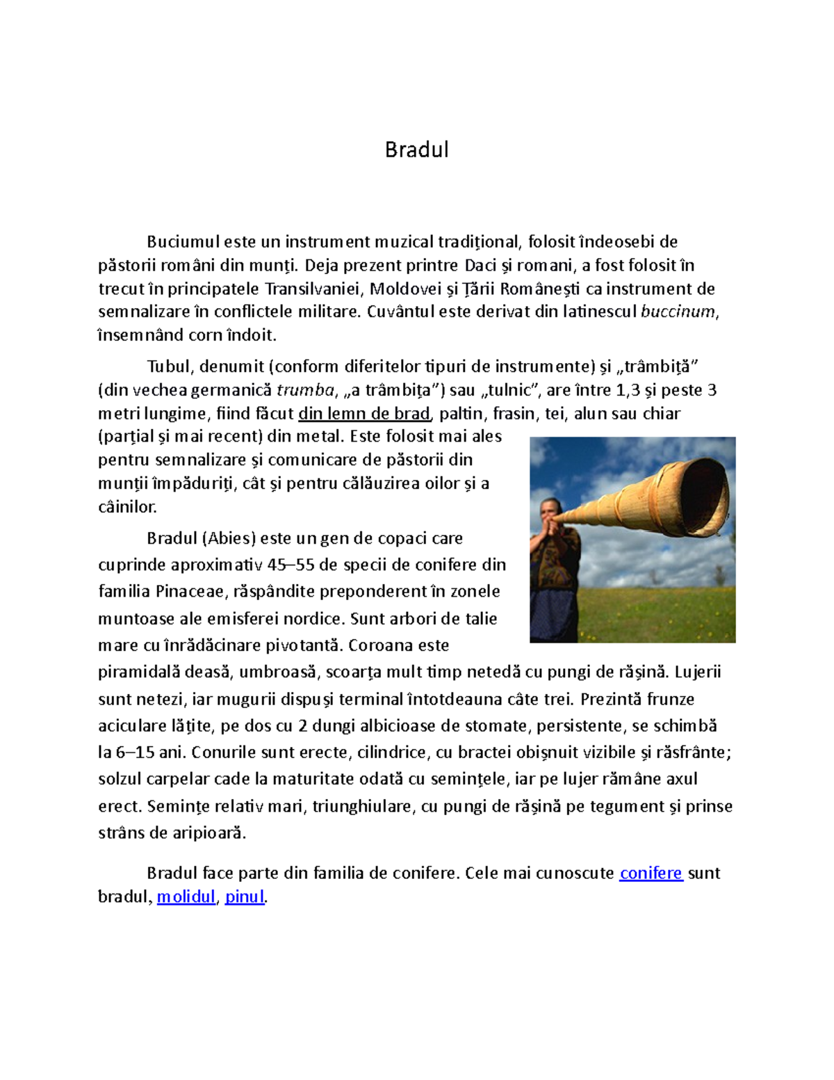 Bradul - fise de documentare - Bradul Buciumul este un instrument ...