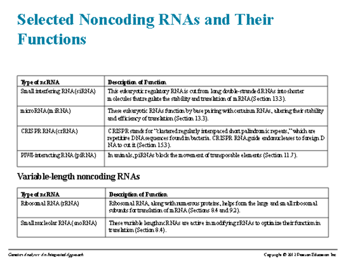 Genetics 2 26 - Selected Noncoding RNAs and Their Functions Type of ...