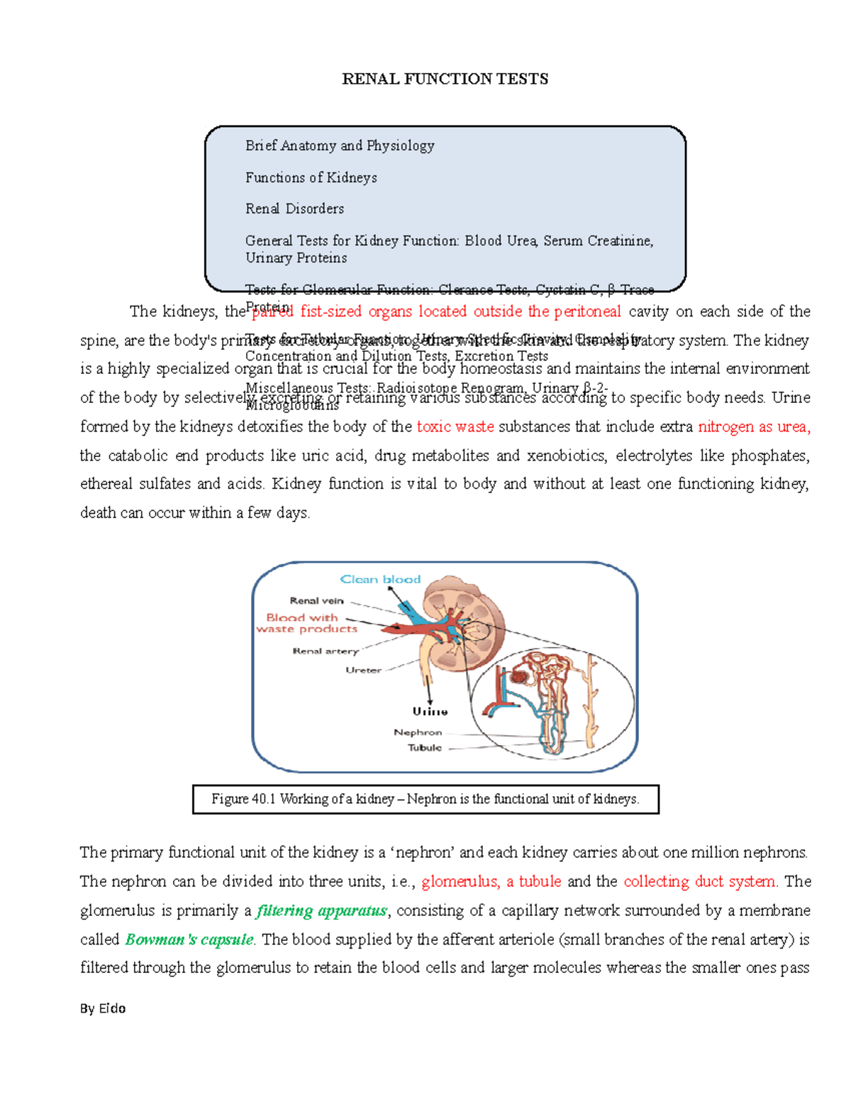 Renal Function Tests - RENAL FUNCTION TESTS The kidneys, the paired ...