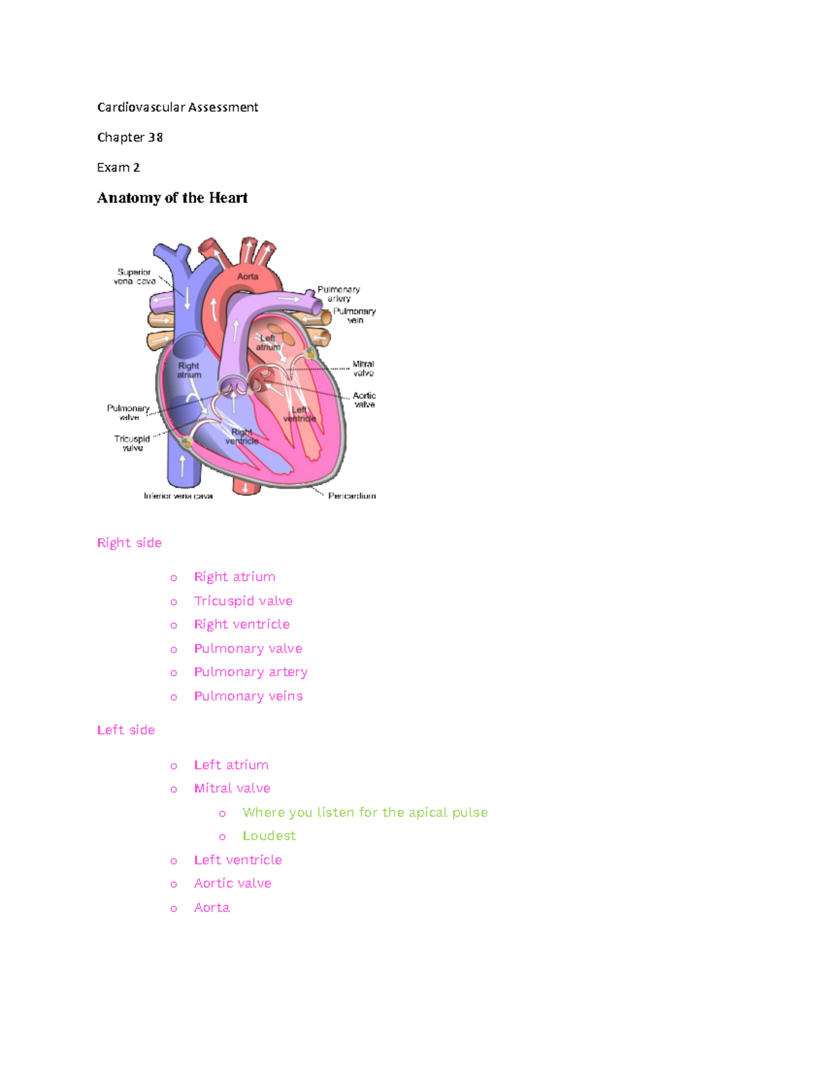 Nurs. 101 Cardiovascular assessment- exam 2 - Deprecated API usage: The ...
