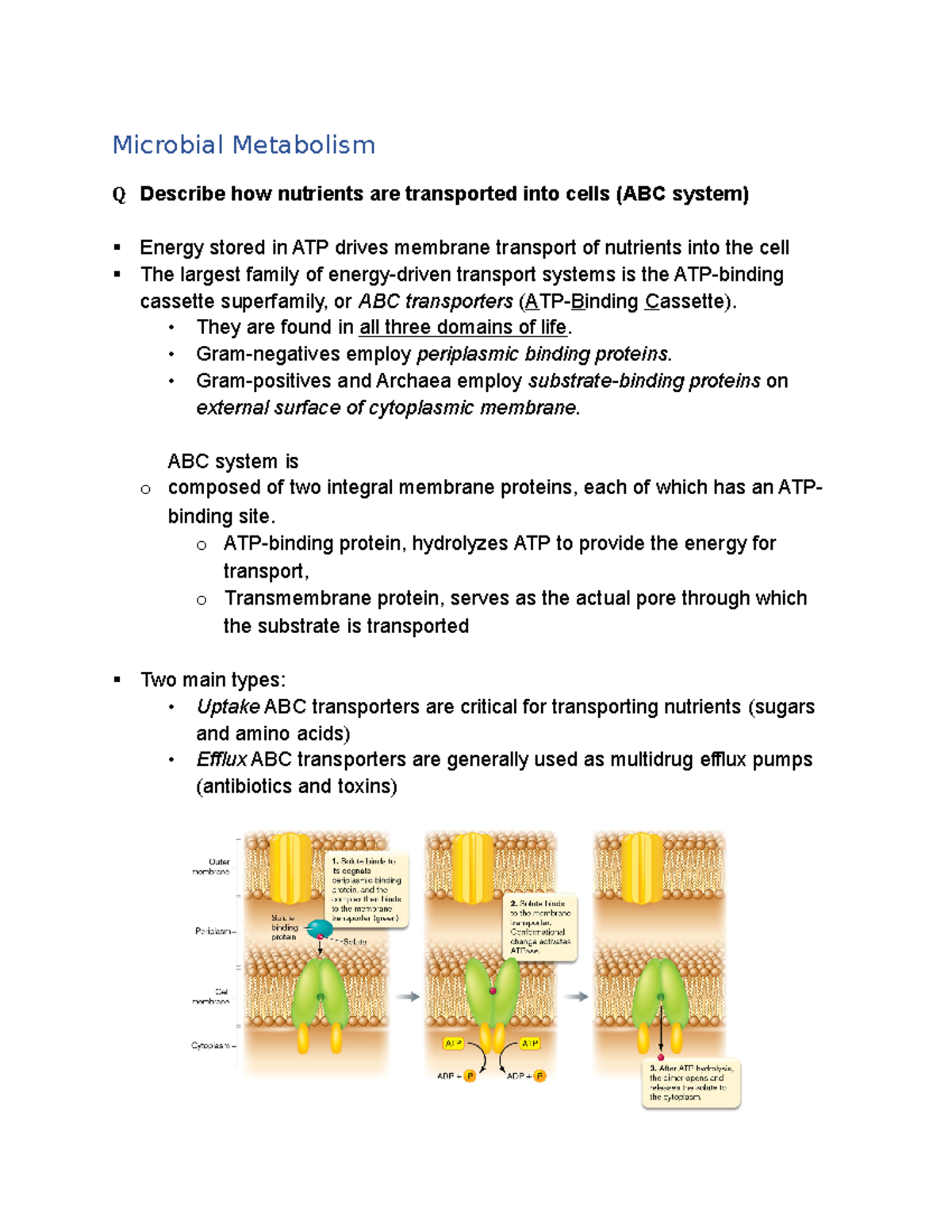 Microbial metabolism - They are found in all three domains of life ...