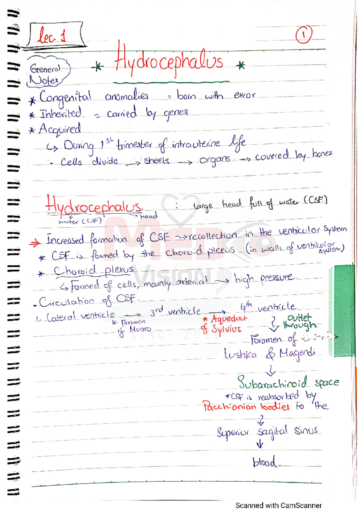 Neurosurgery notes - Radiology 7 - Studocu