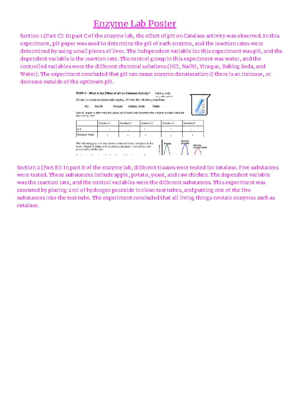 Kami Export - Enzyme Lab Poster - BIOL 101 - Studocu