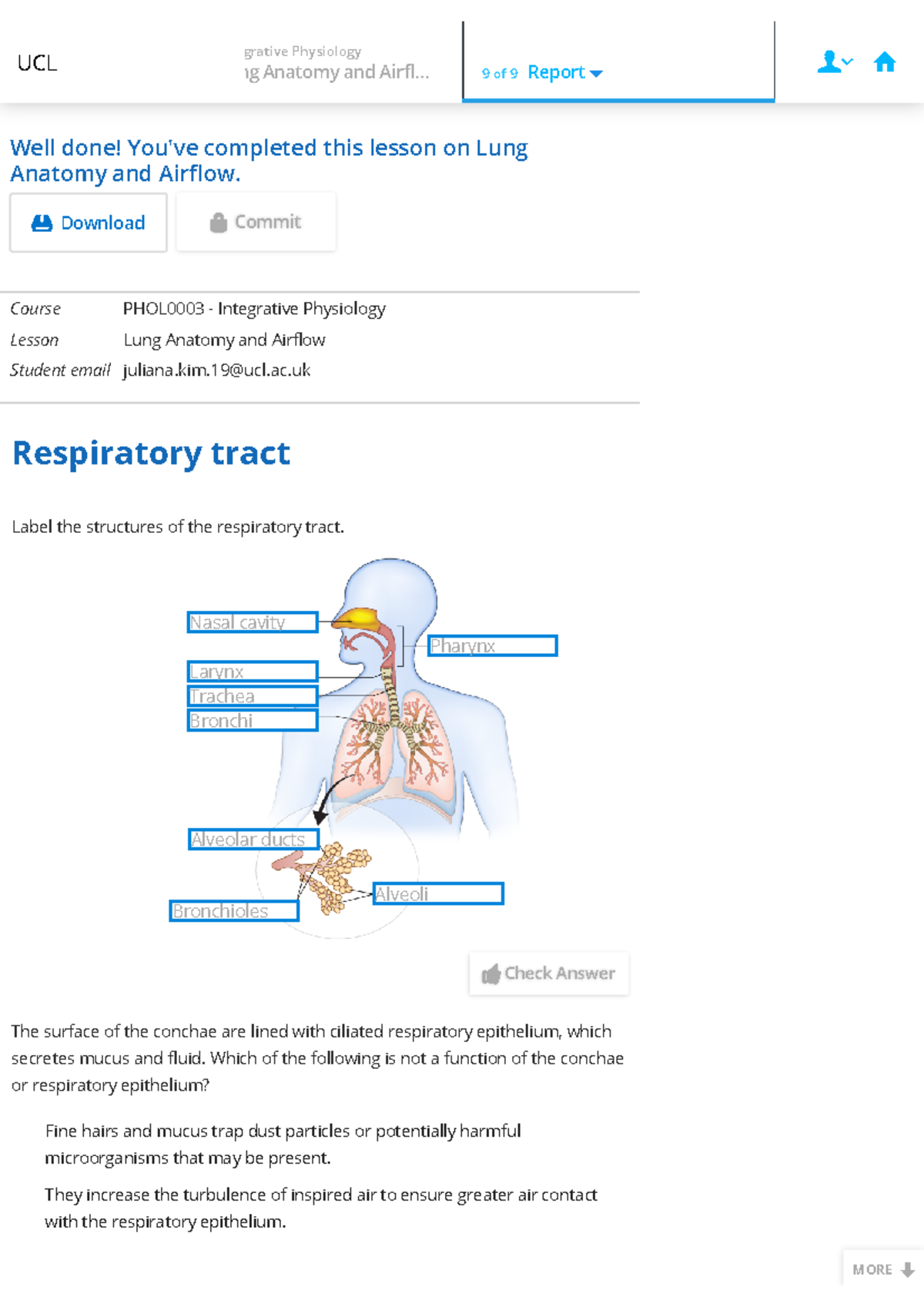 Lung Anatomy and Airflow, Integrative Physiology - Course PHOL0003 ...