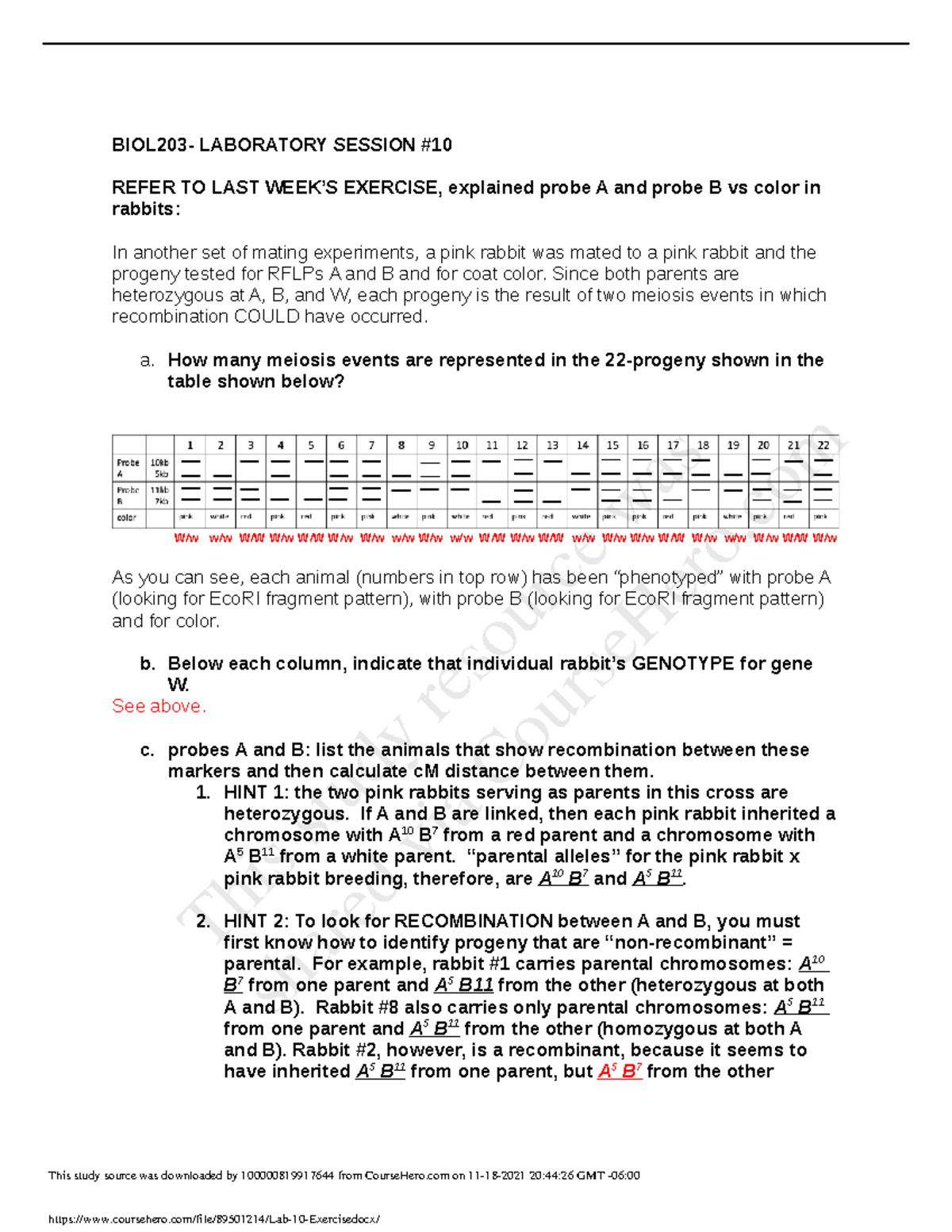 Lab 10 Activity Answer Key for BIOL 203 - BIOL 203 - Hunter College ...