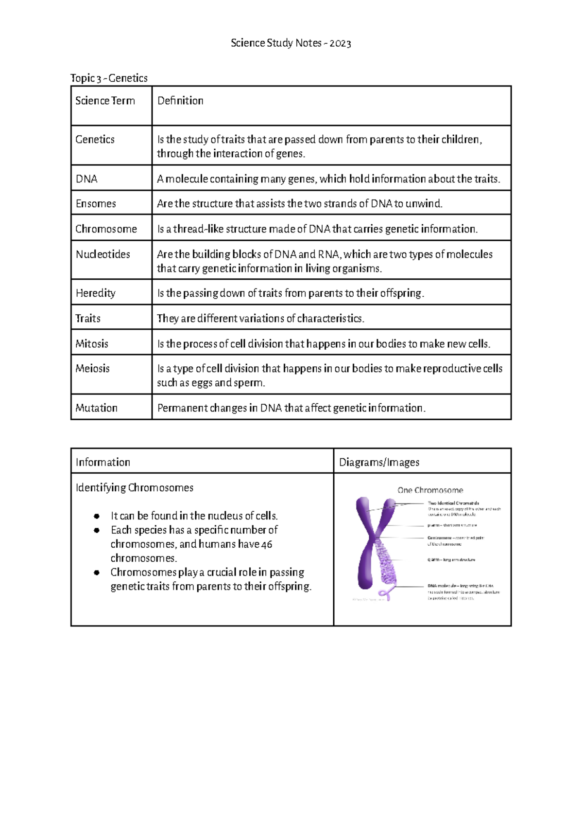 Science Exam Study Notes 2023 - Topic 3 - Genetics Science Term ...