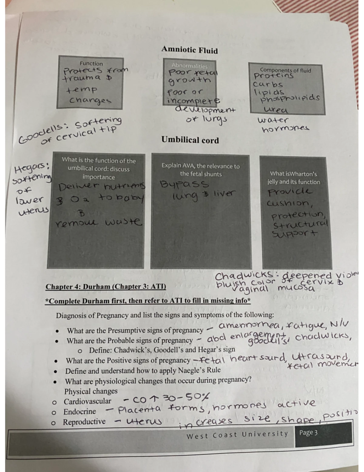 Studocu - Resúmenes, apuntes y preparación de exámenes gratis