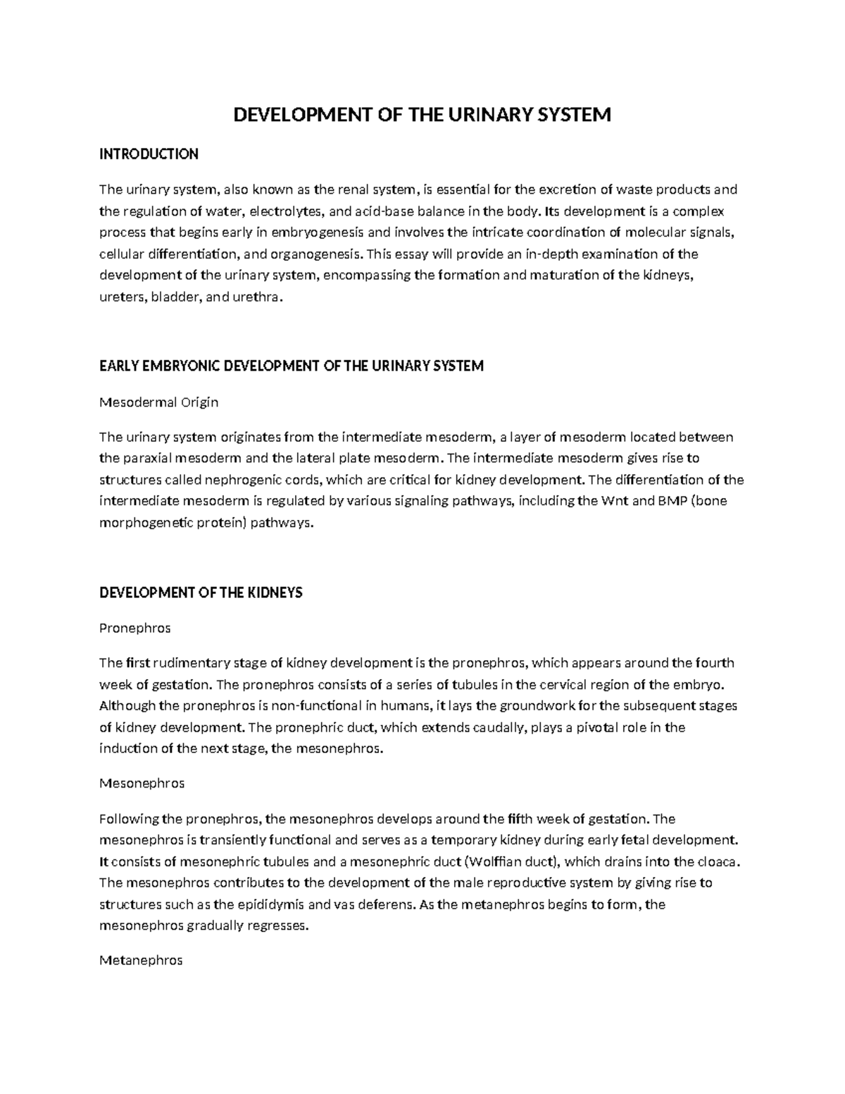 Development of the urinary system - DEVELOPMENT OF THE URINARY SYSTEM ...