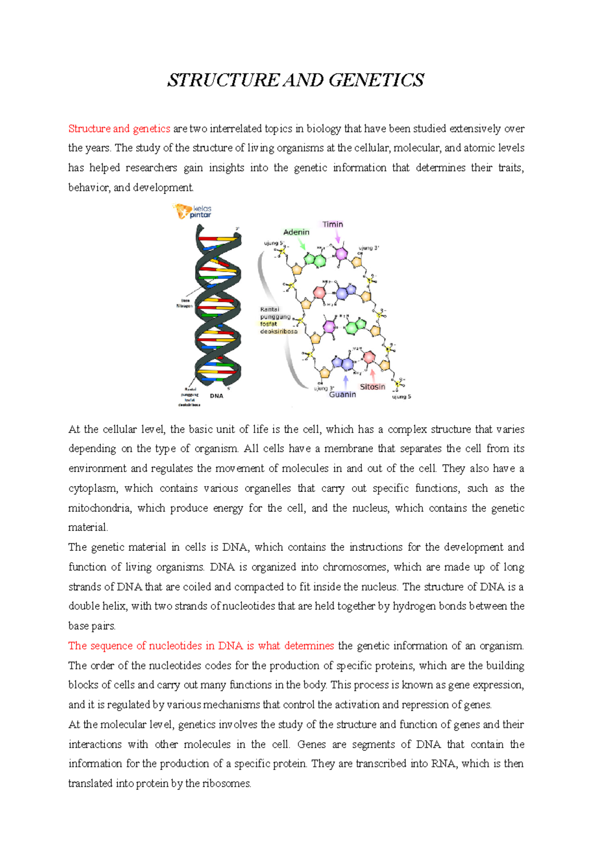 Structure AND Genetics - STRUCTURE AND GENETICS Structure and genetics ...