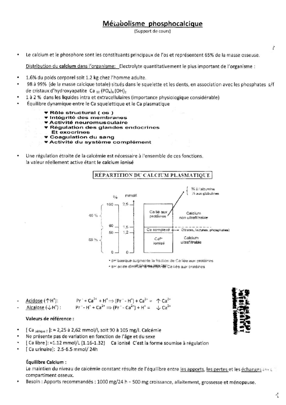Physiologie 2an-metabolisme phosphocalcique-hafdi - Anatomie - Studocu