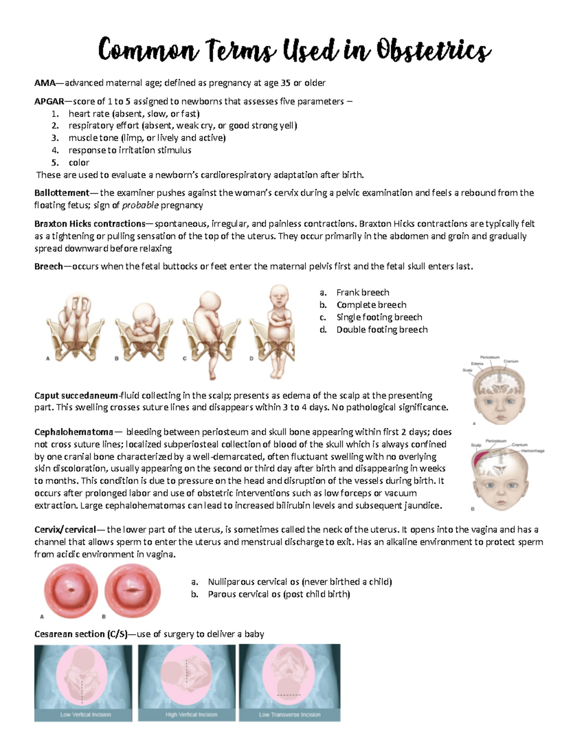 OBSupplemental Materialand Meds - Common Terms Used in Obstetrics ...