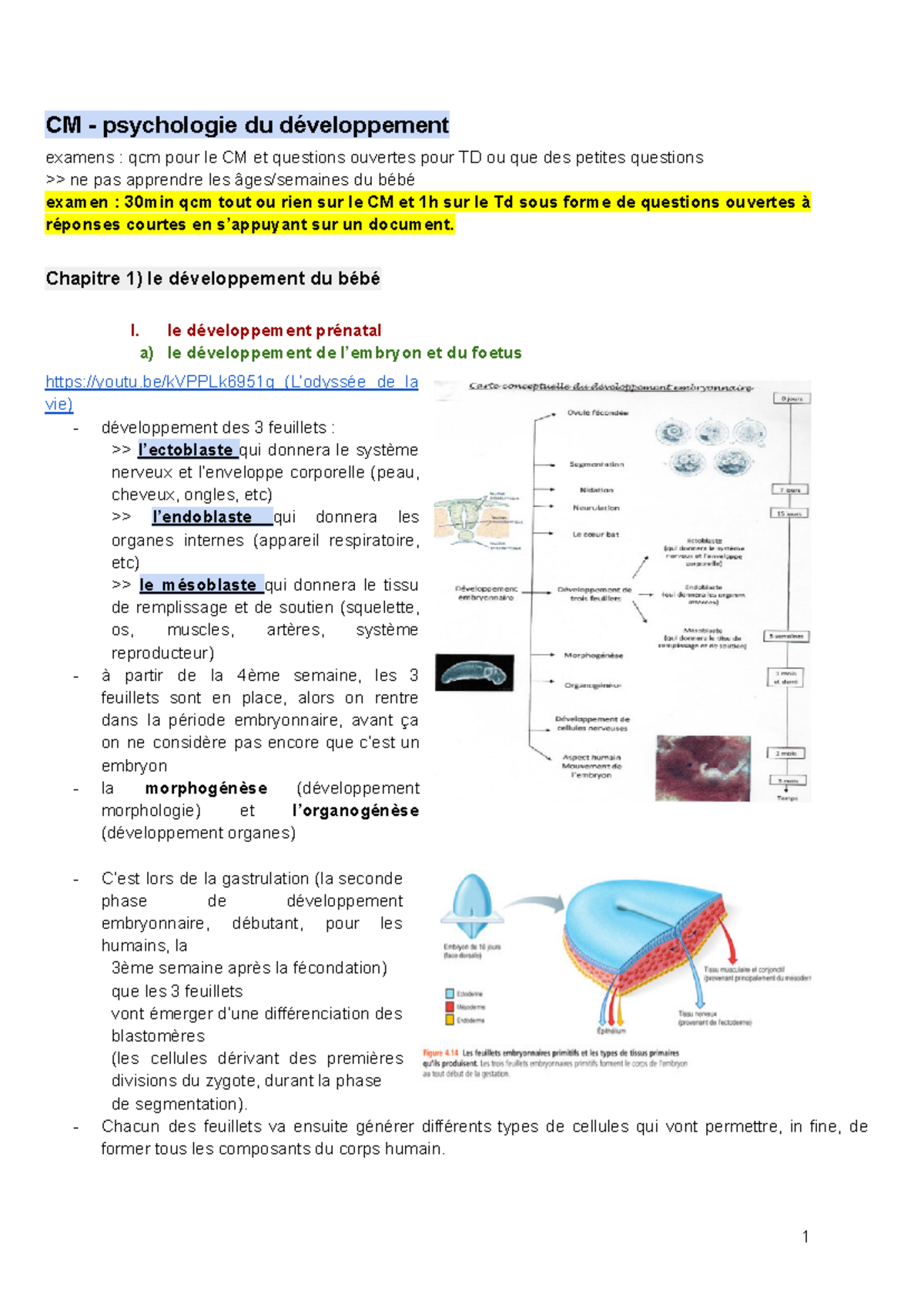 psychologie du développemen CM - CM - psychologie du développement ...