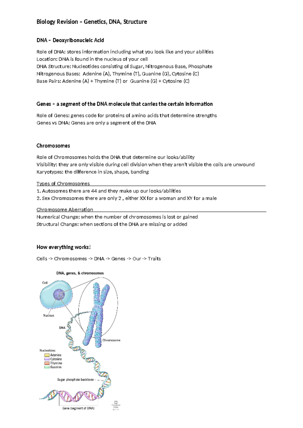Biology Revision – Genetics, DNA, Structure y10 - Autosomes there are ...