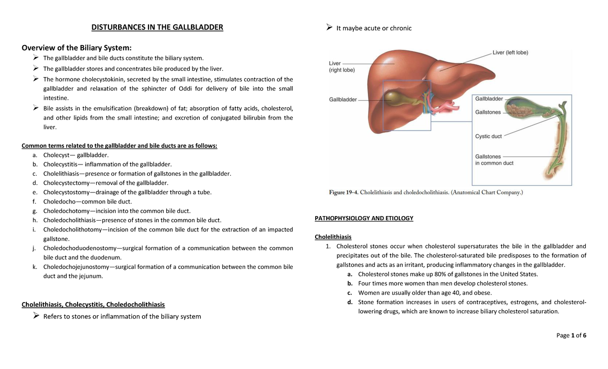 Disturbances in the Gallbladder - DISTURBANCES IN THE GALLBLADDER ...